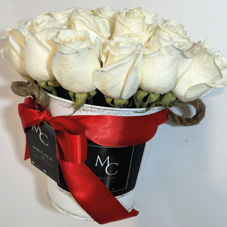 Gift Balde con Rosas Blancas - Mia Cala